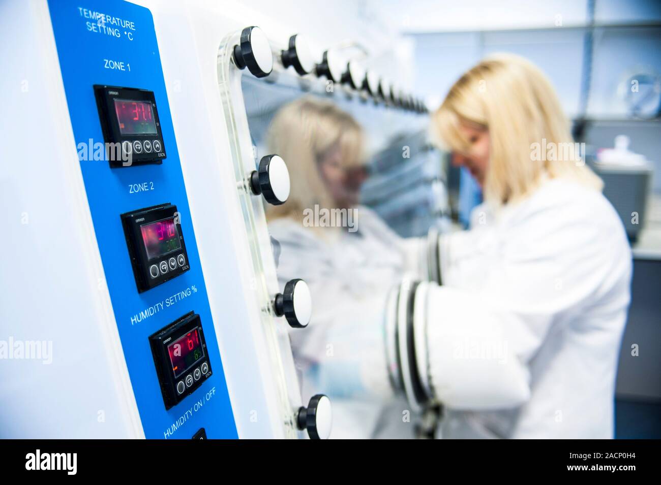 Biological research. Scientist working at a temperature controlled ...