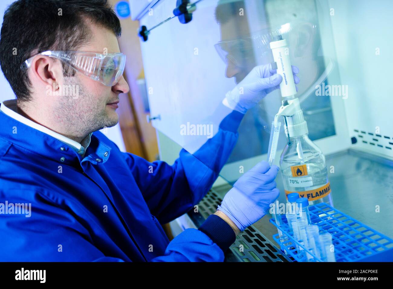 Scientist decanting 70% ethanol into test tubes in a fume cupboard ...