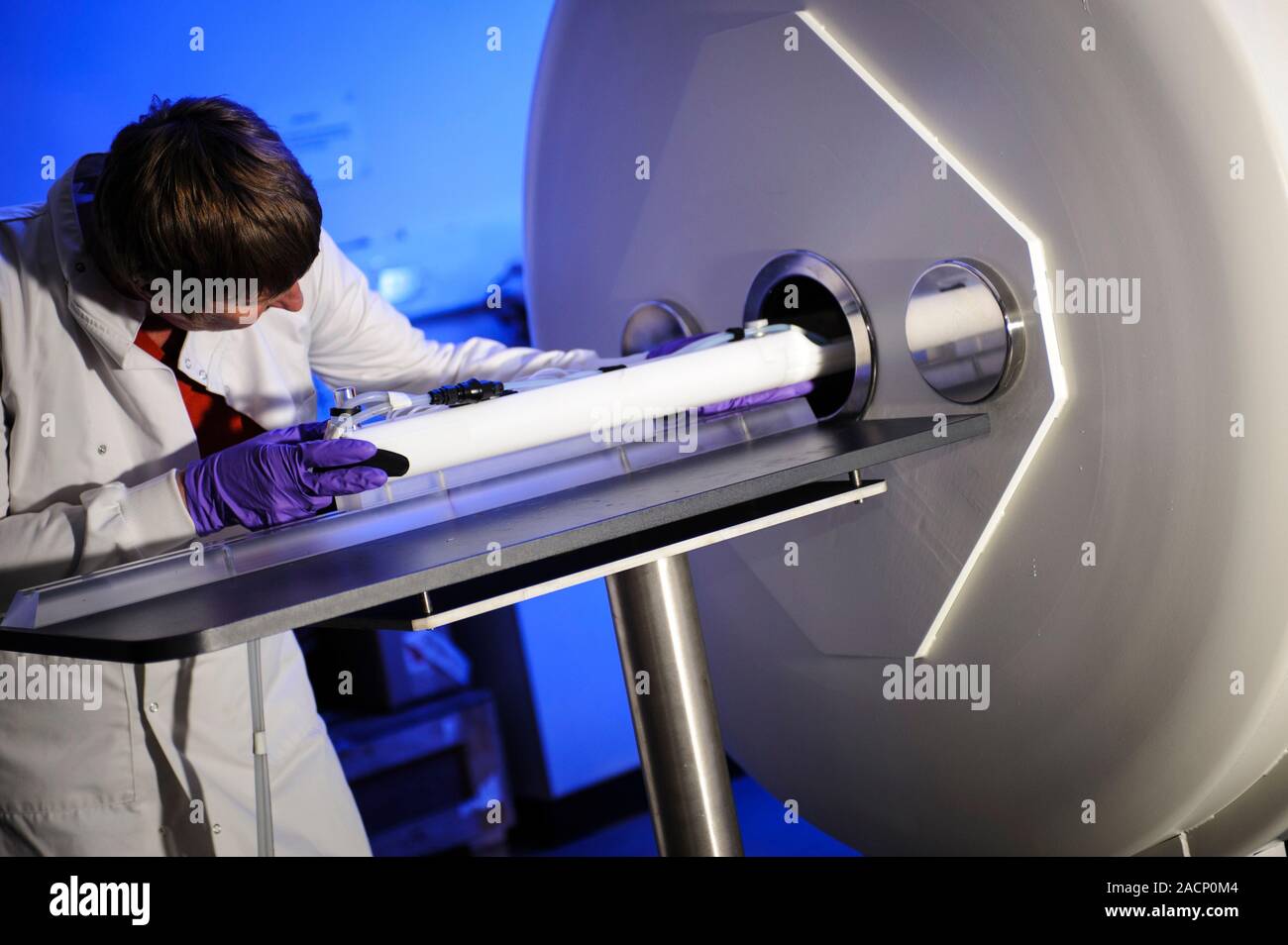Scientist using a small bore Magnetic Resonance Imaging (MRI) scanner ...
