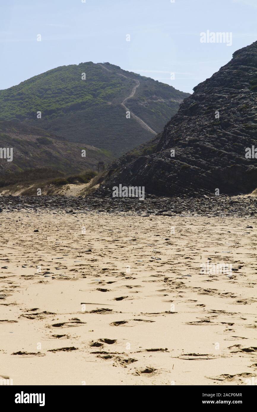 Beautiful rocky coastline vegetation hi-res stock photography and ...