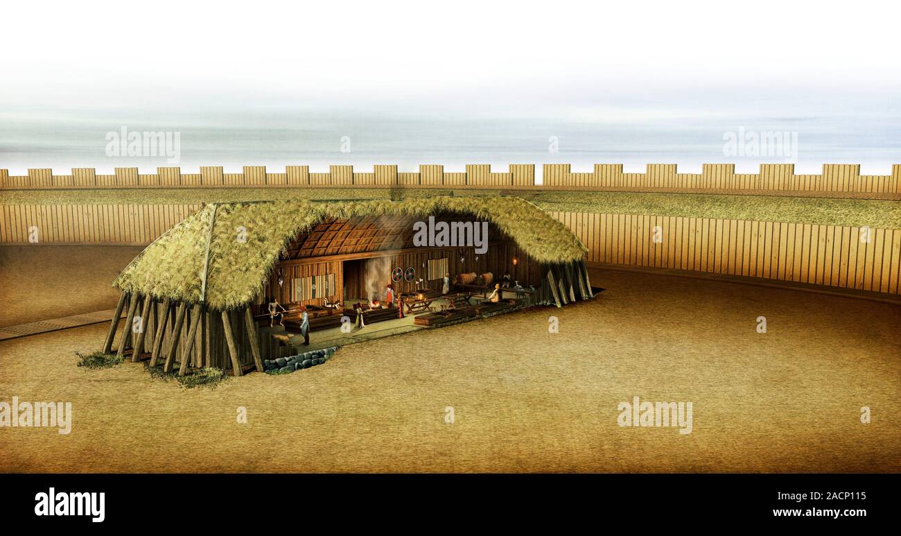 Viking house in ring fortress. Cutaway artwork of the inside of a ...