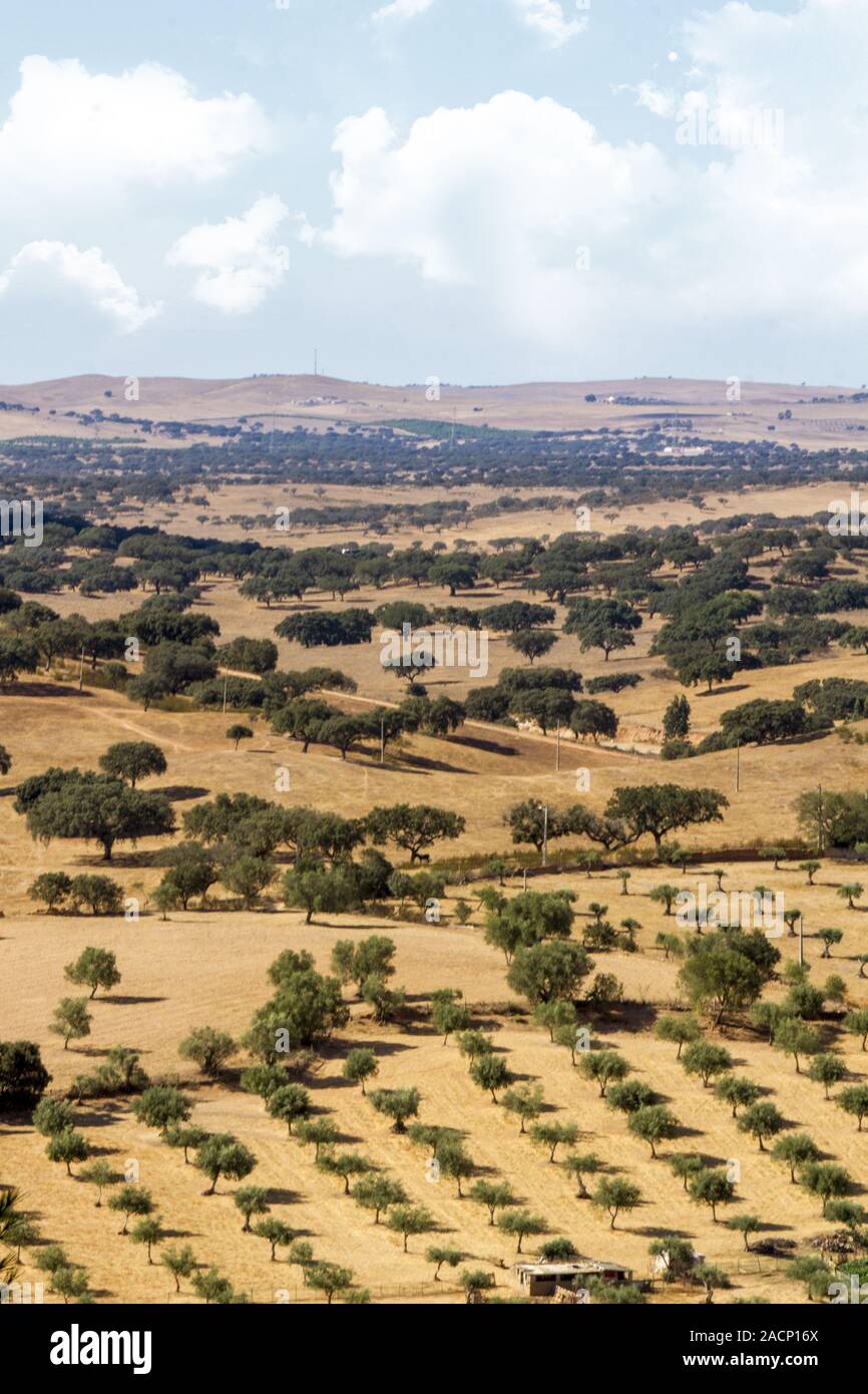 Alentejo must see hi-res stock photography and images - Alamy