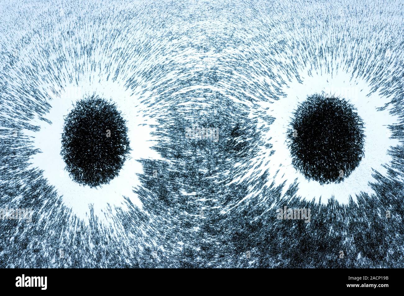 Magnetic field pattern. Clumping of iron filings in the presence of a ...