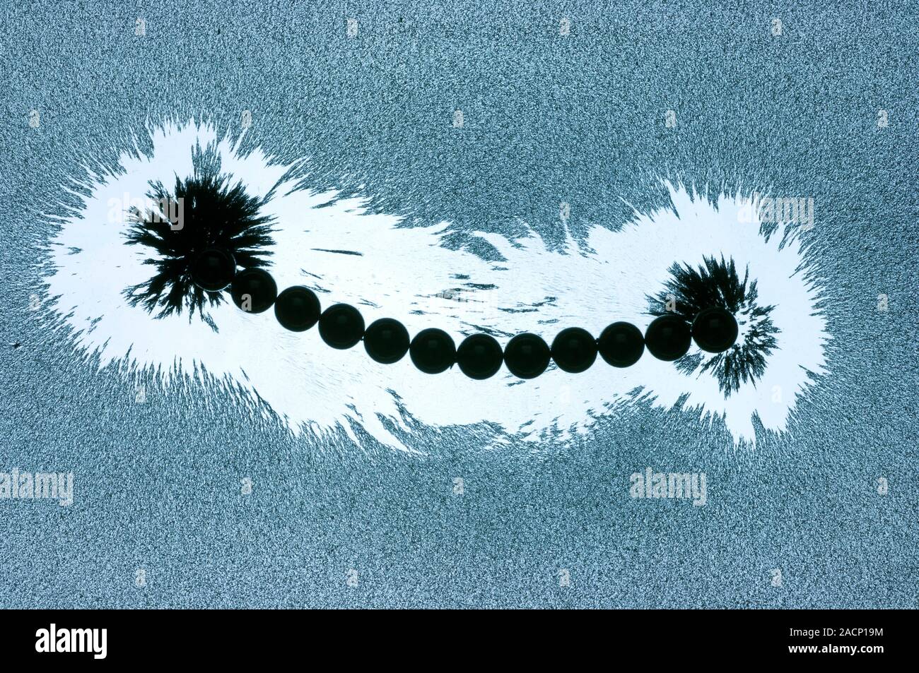 Magnets and magnetic field pattern. Clumping of iron filings in the ...