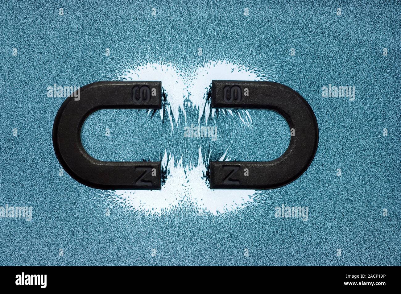 Repulsion between like magnetic poles. Clumping of iron filings in the ...