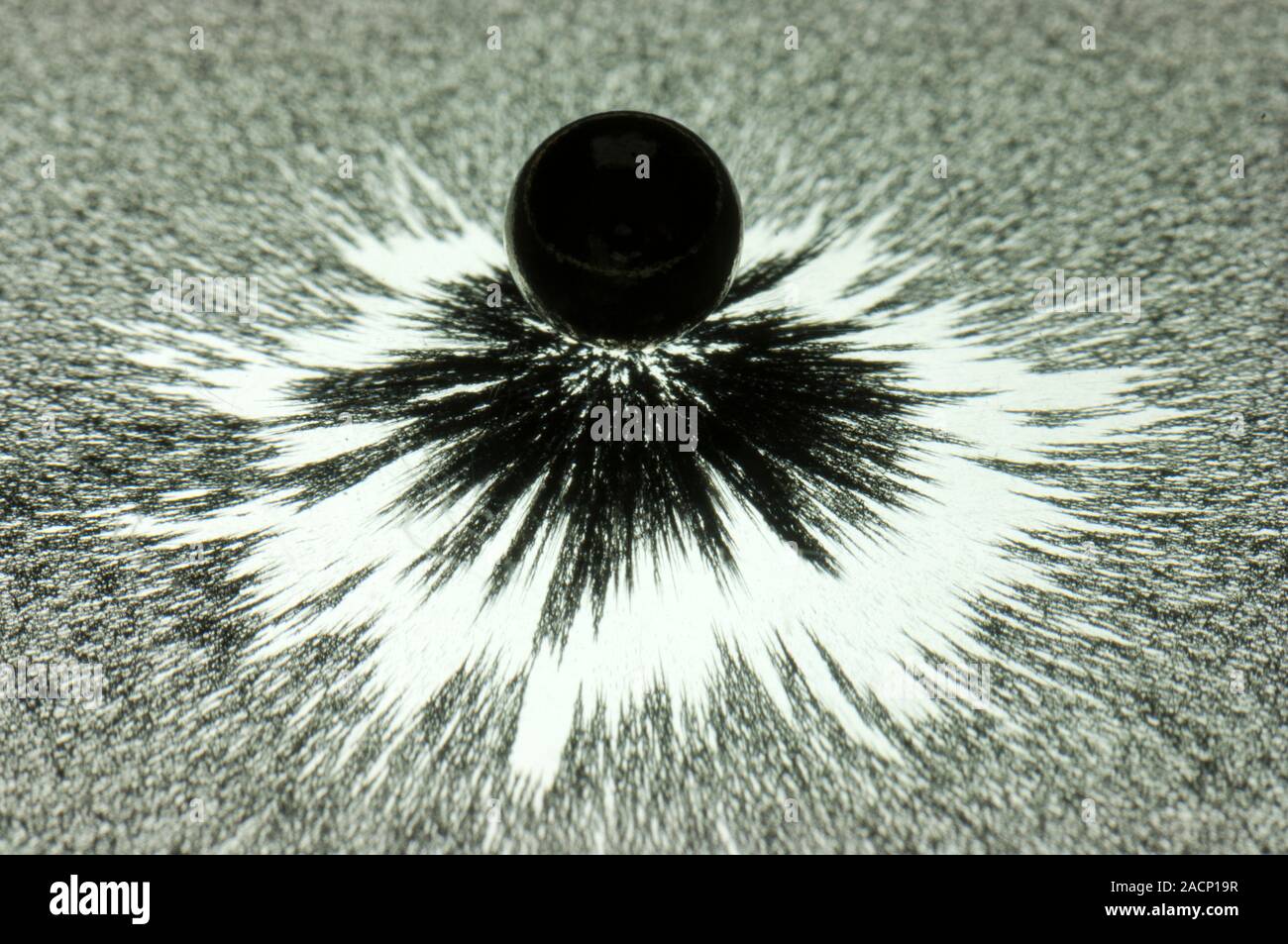Magnet and magnetic field pattern. Clumping of iron filings in the ...