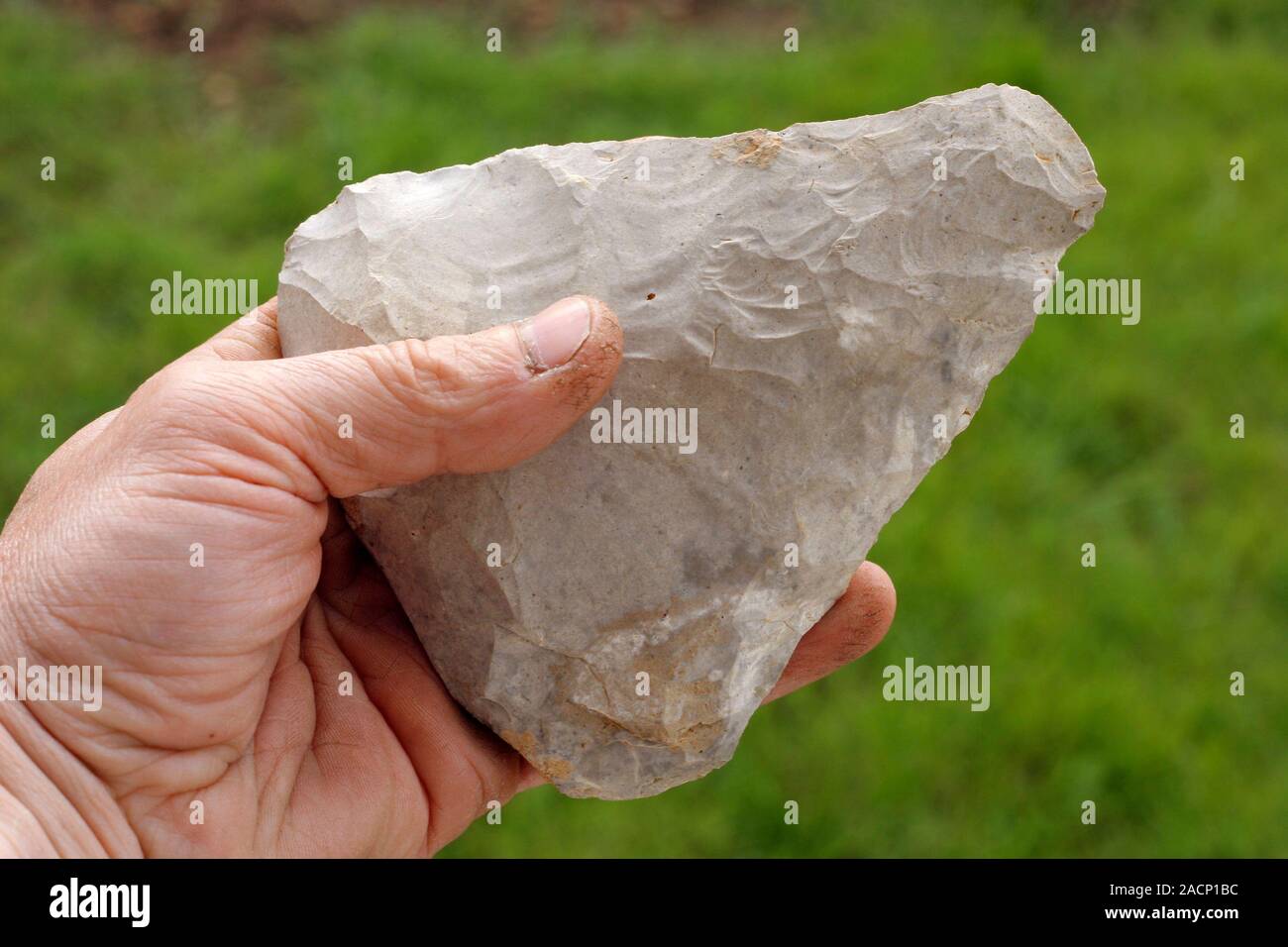 Neolithic hand axe. Person holding a carved stone hand axe from the ...