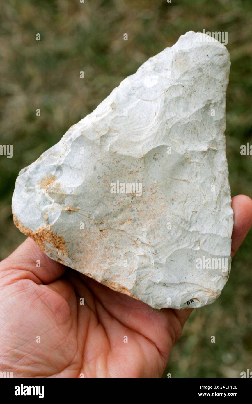 Neolithic hand axe. Person holding a carved stone hand axe from the ...