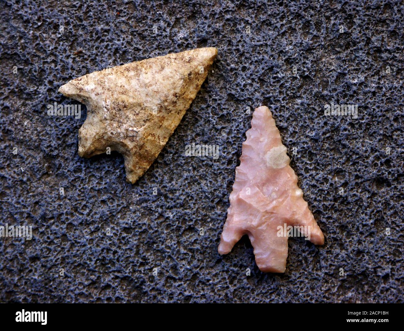 Neolithic arrow heads. Two carved flint arrow heads from the late stone-age (neolithic) period ...