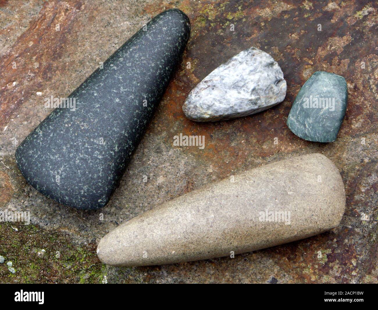 Neolithic hand axes. Carved and polished stone axes from the late stone ...