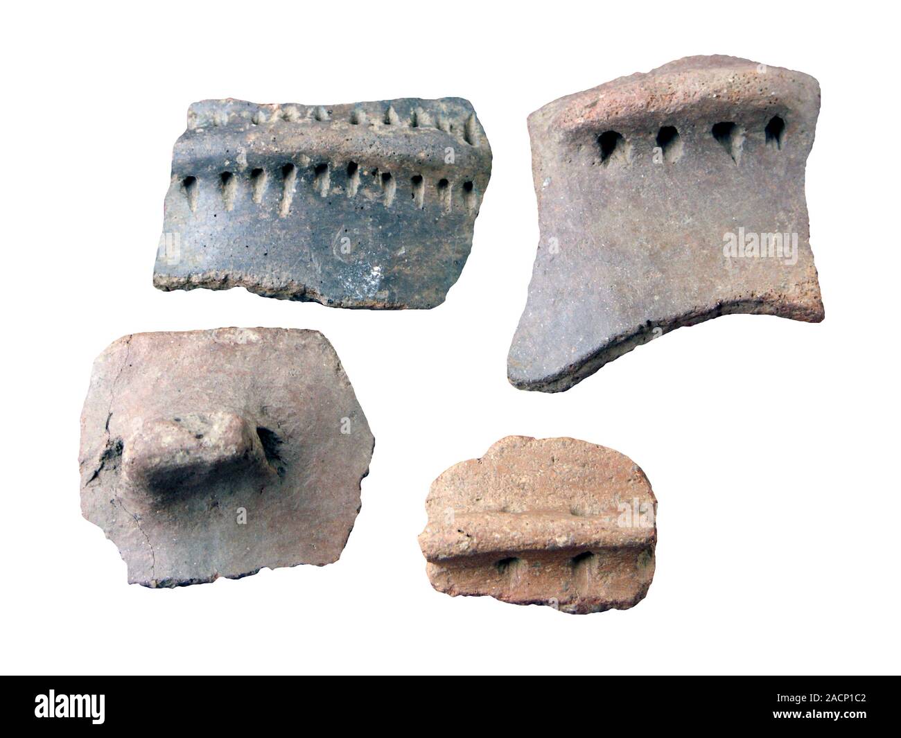 Neolithic pottery. Pieces of broken pottery dating from the late stone ...