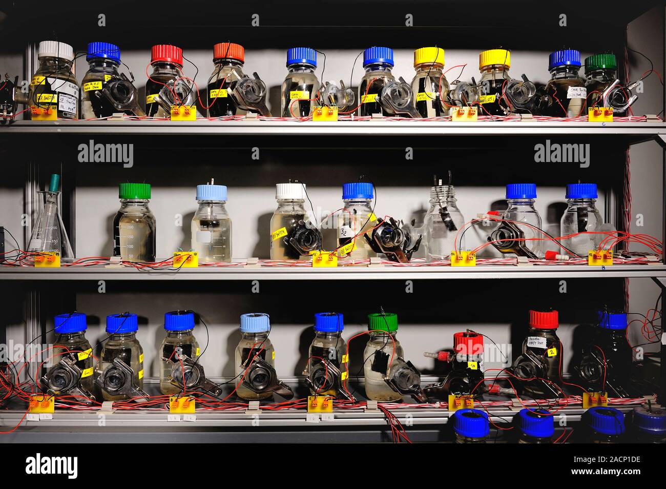 Biofuel battery research. Shelf of biofuel cells (biobatteries) in a ...