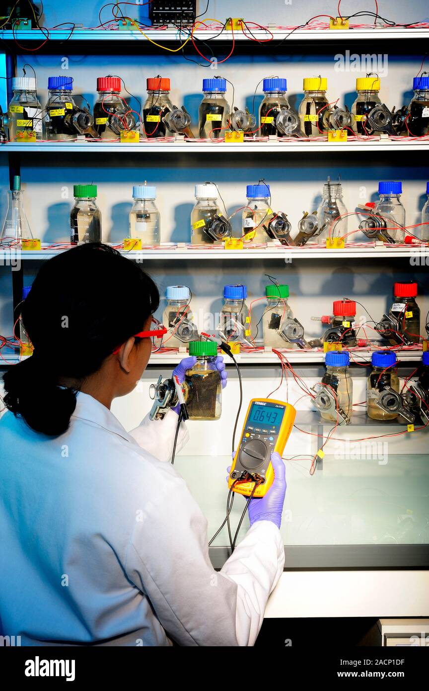 Biofuel battery research. Researcher using a multimeter to check the ...