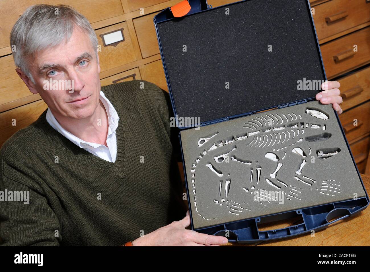 Prehistoric mammal skeleton. Palaeontologist Christian de Muizon ...
