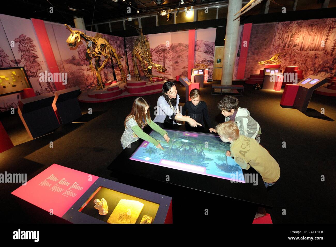 Children at a museum. Children at the In the Shadow of the Dinosaurs ...