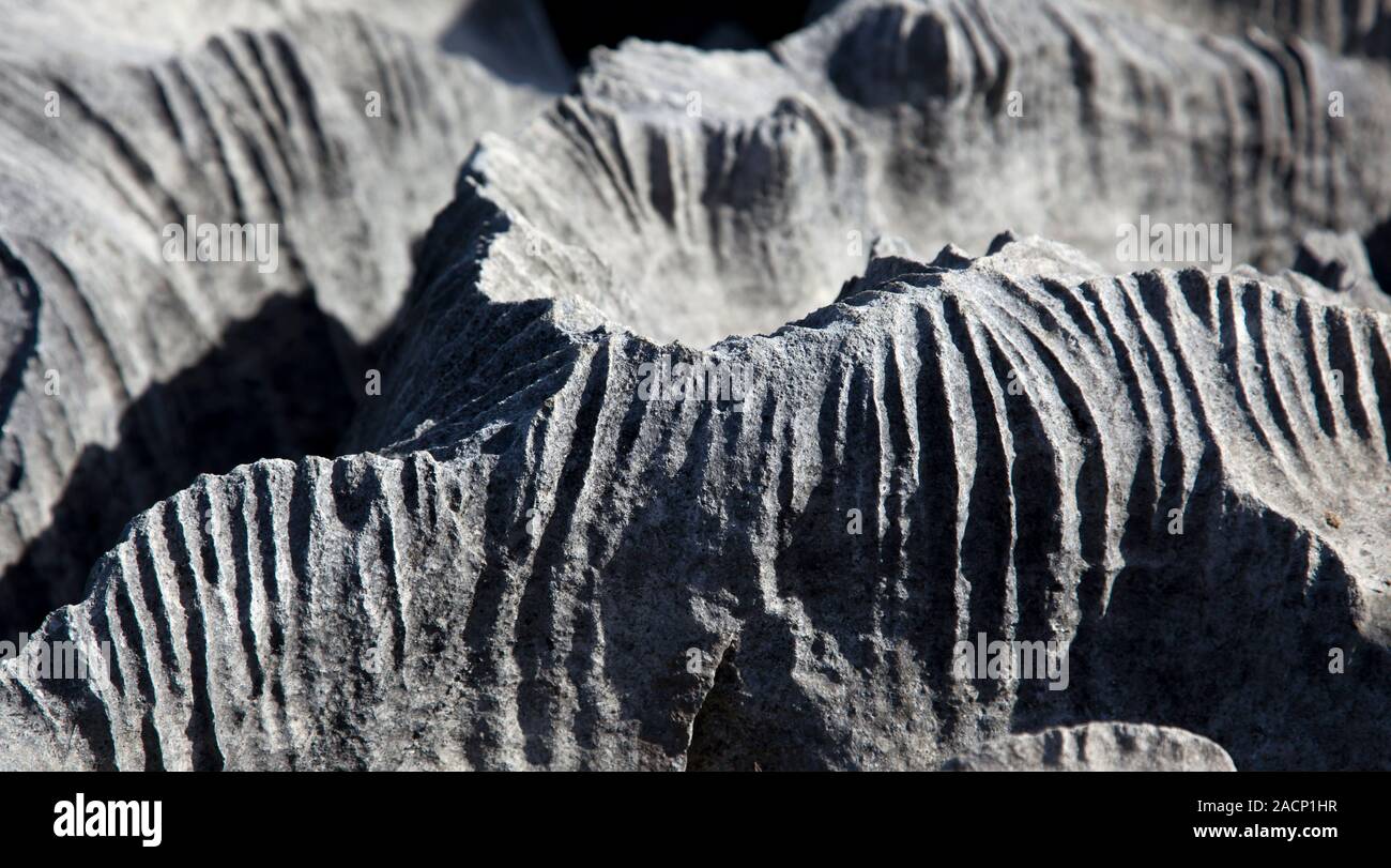 Limestone pavement. Close-up of a ridge on a limestone pavement ...