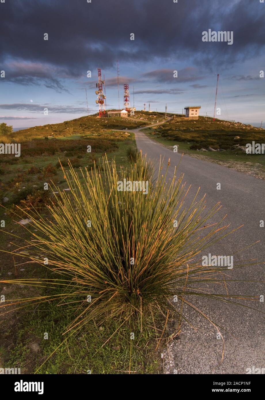 Hill top of Foia, Monchique Stock Photo - Alamy