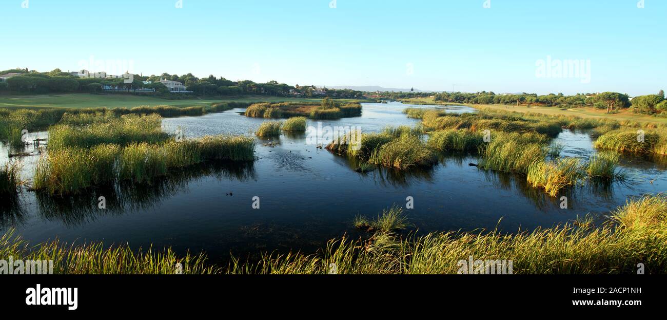 Marshlands hi-res stock photography and images - Alamy