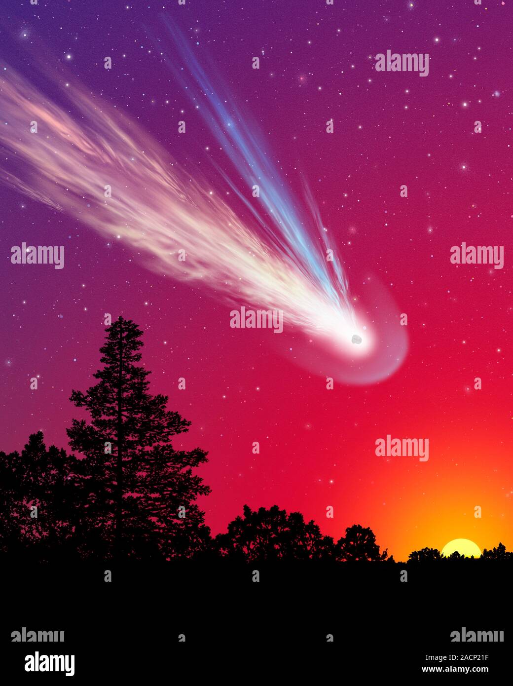 Comet over trees, artwork. Comets are bodies of ice and dust that enter the inner solar system ...