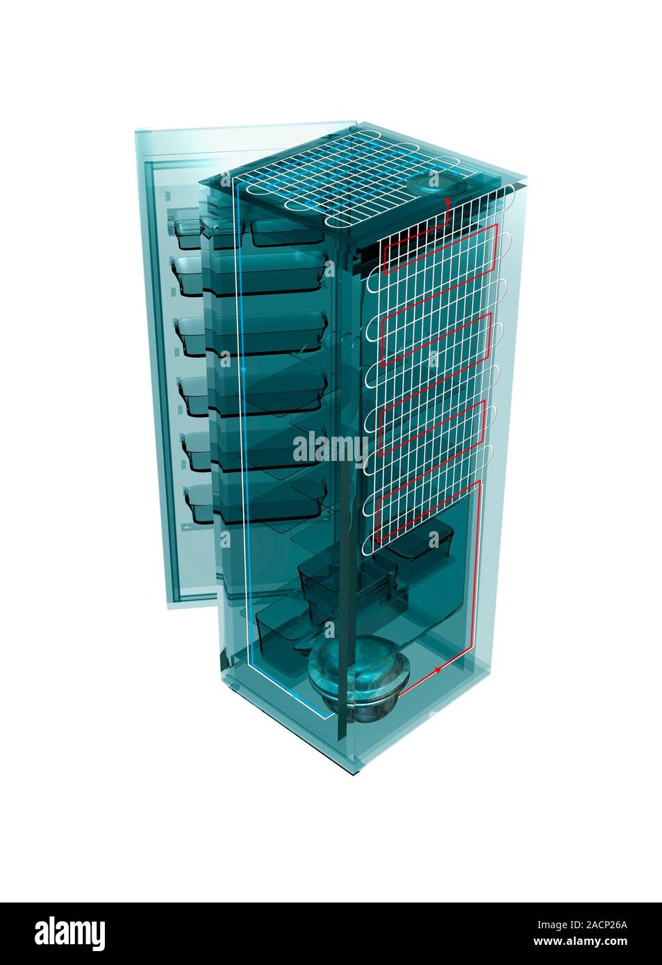 Refrigerator. Computer artwork showing how a refrigerator works. There ...