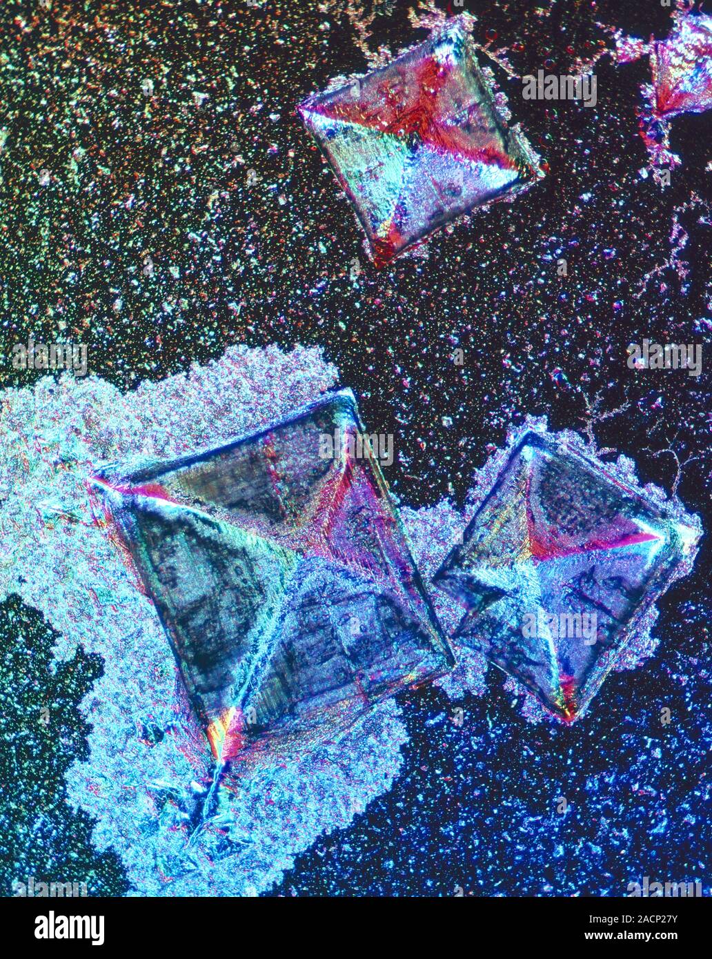 Salt. Polarised light micrograph of a crystal of sodium chloride, the ...