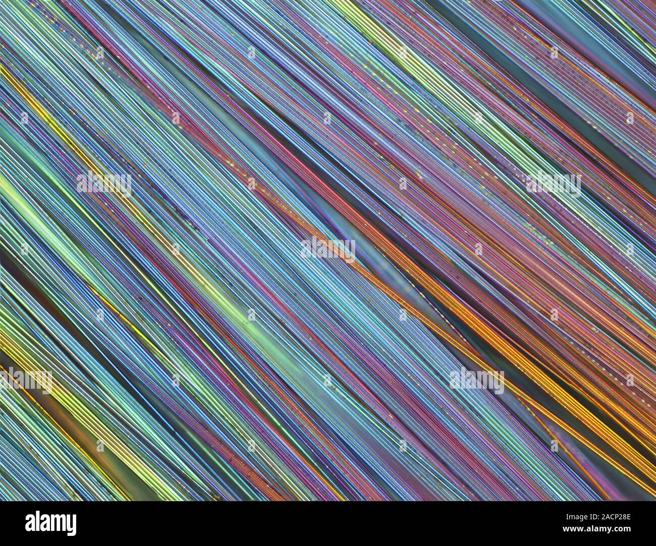 Light micrograph of fiberglass (or fibreglass), also called glass ...
