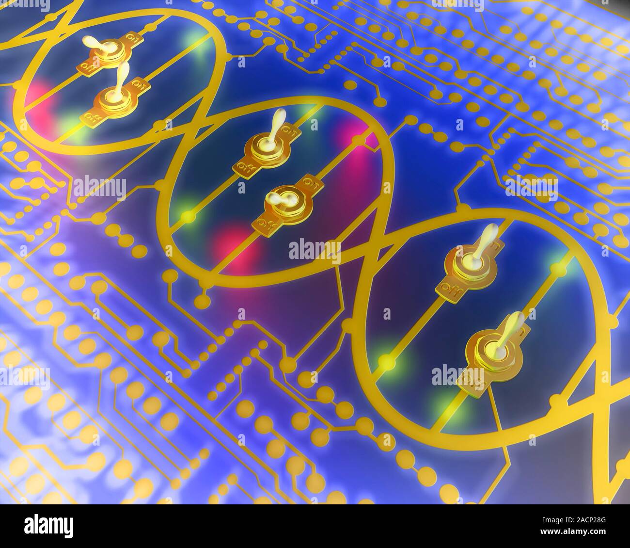 DNA gene switch circuit board. Computer artwork of a molecule of DNA ...