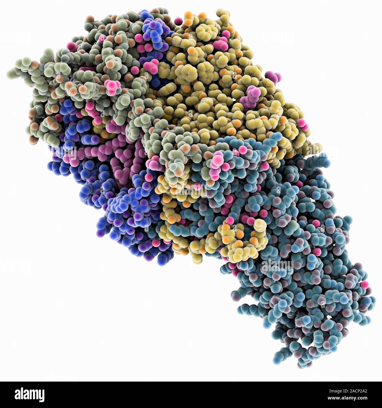 Purple bacterium photosynthesis centre, molecular model. Purple ...