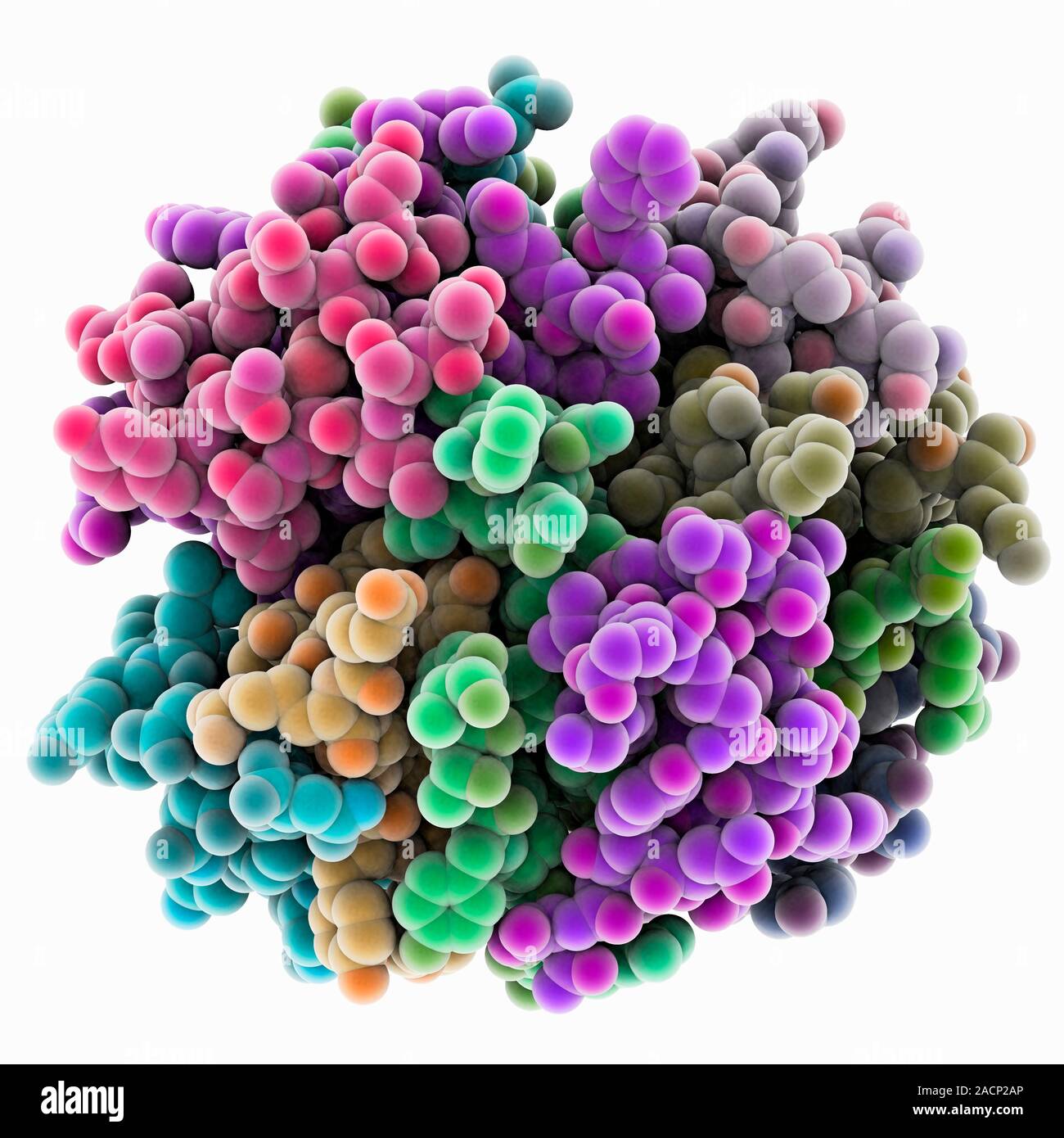 Mutant insulin, molecular model. Several of the building blocks ...