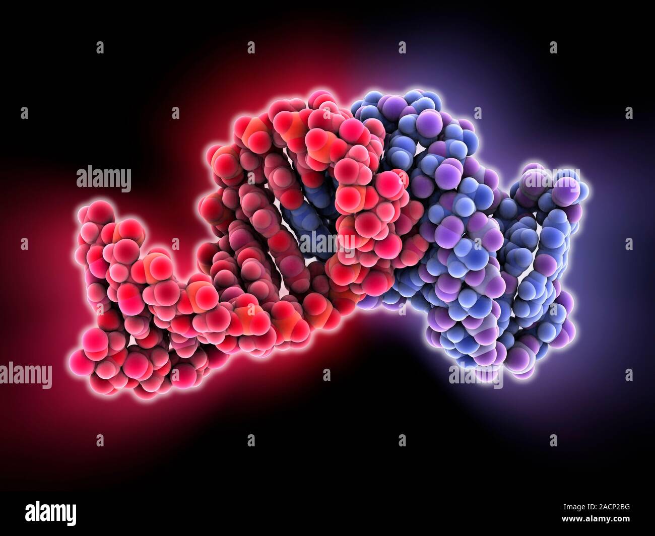 Bacterial RNA plasmid loop-loop complex, molecular model. This strand ...