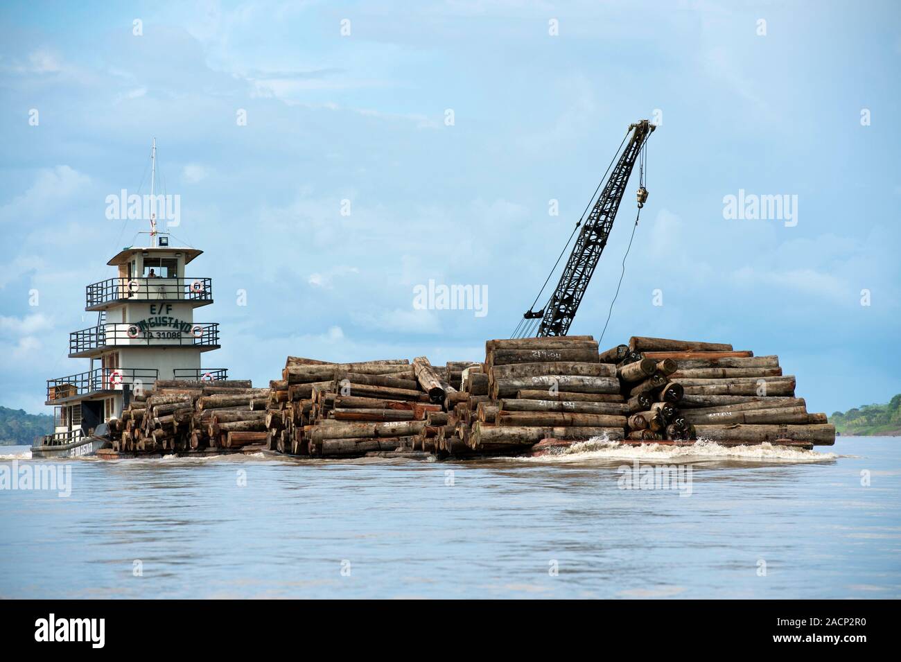 Logging ship. Ship carrying logs cut from the Amazon Rainforest ...
