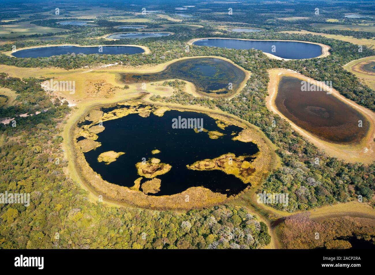 The Pantanal. Aerial view over the southern Pantanal, Brazil. The ...