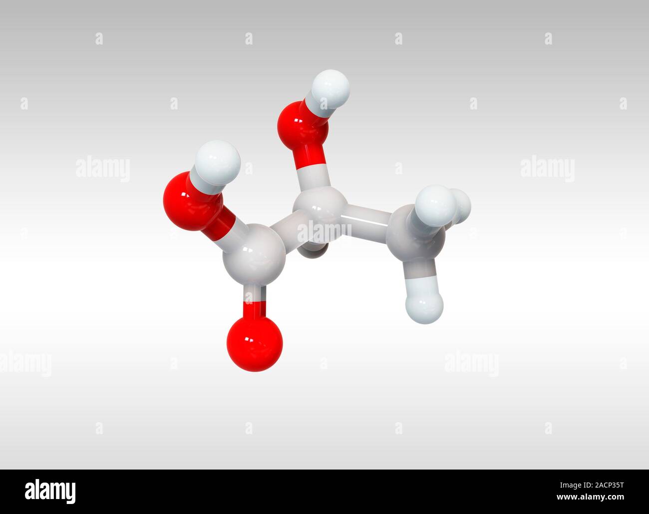 Lactic acid, molecular model. Lactic acid is a carboxylic acid that is ...