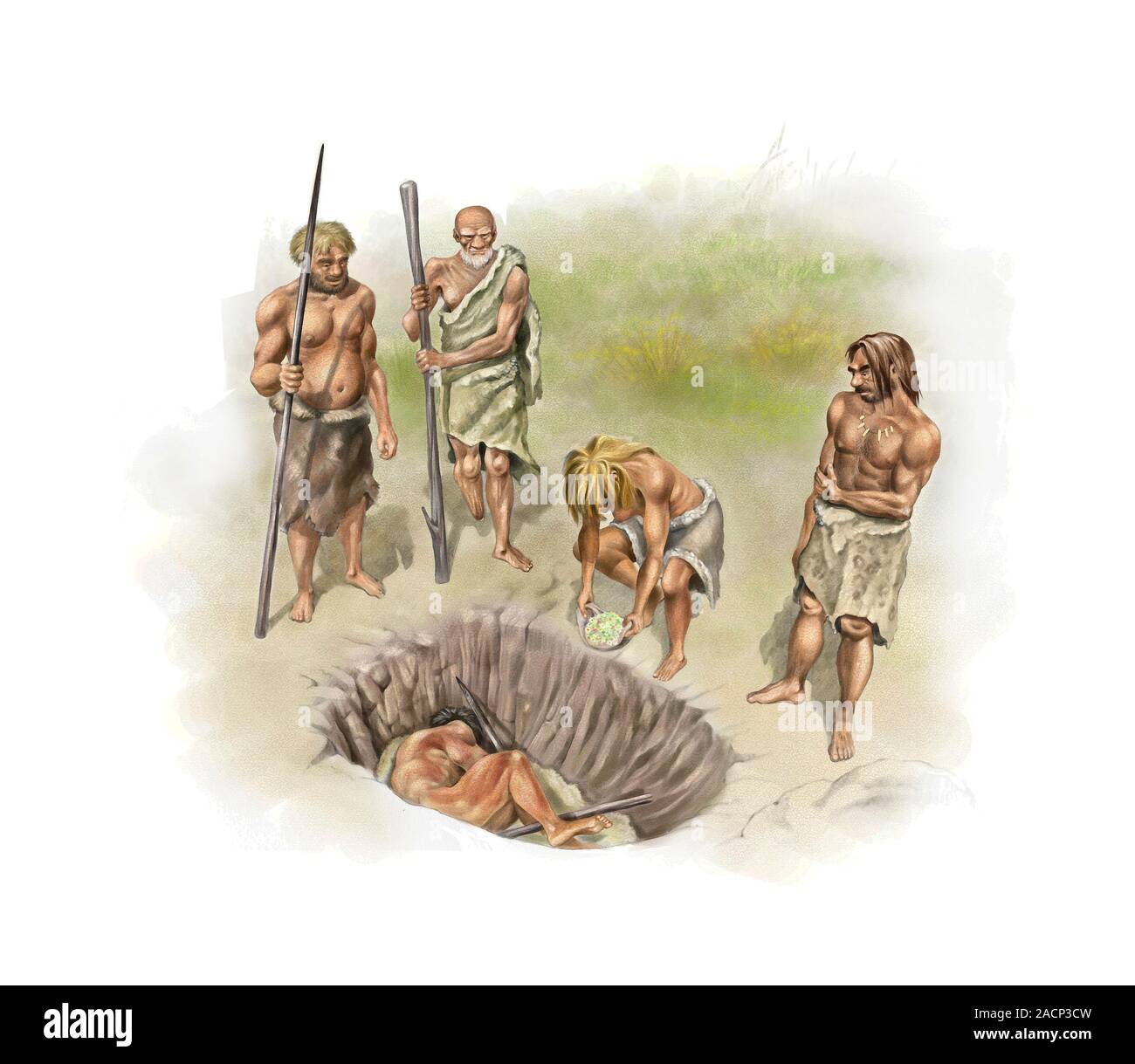 Neanderthal funeral, artwork. Neanderthals (Homo neanderthalensis ...