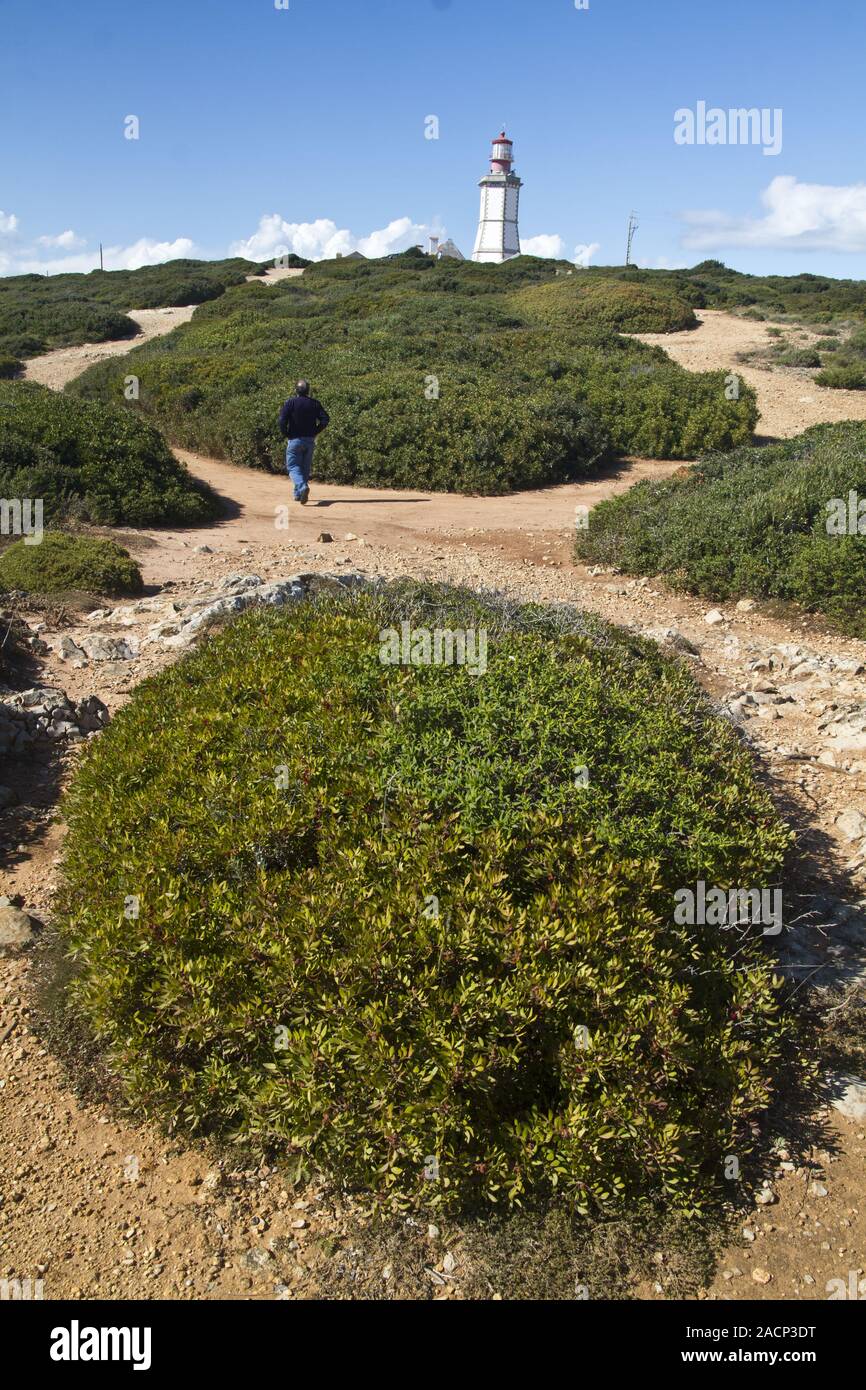 Lighthouse of Cape Espichel Stock Photo - Alamy