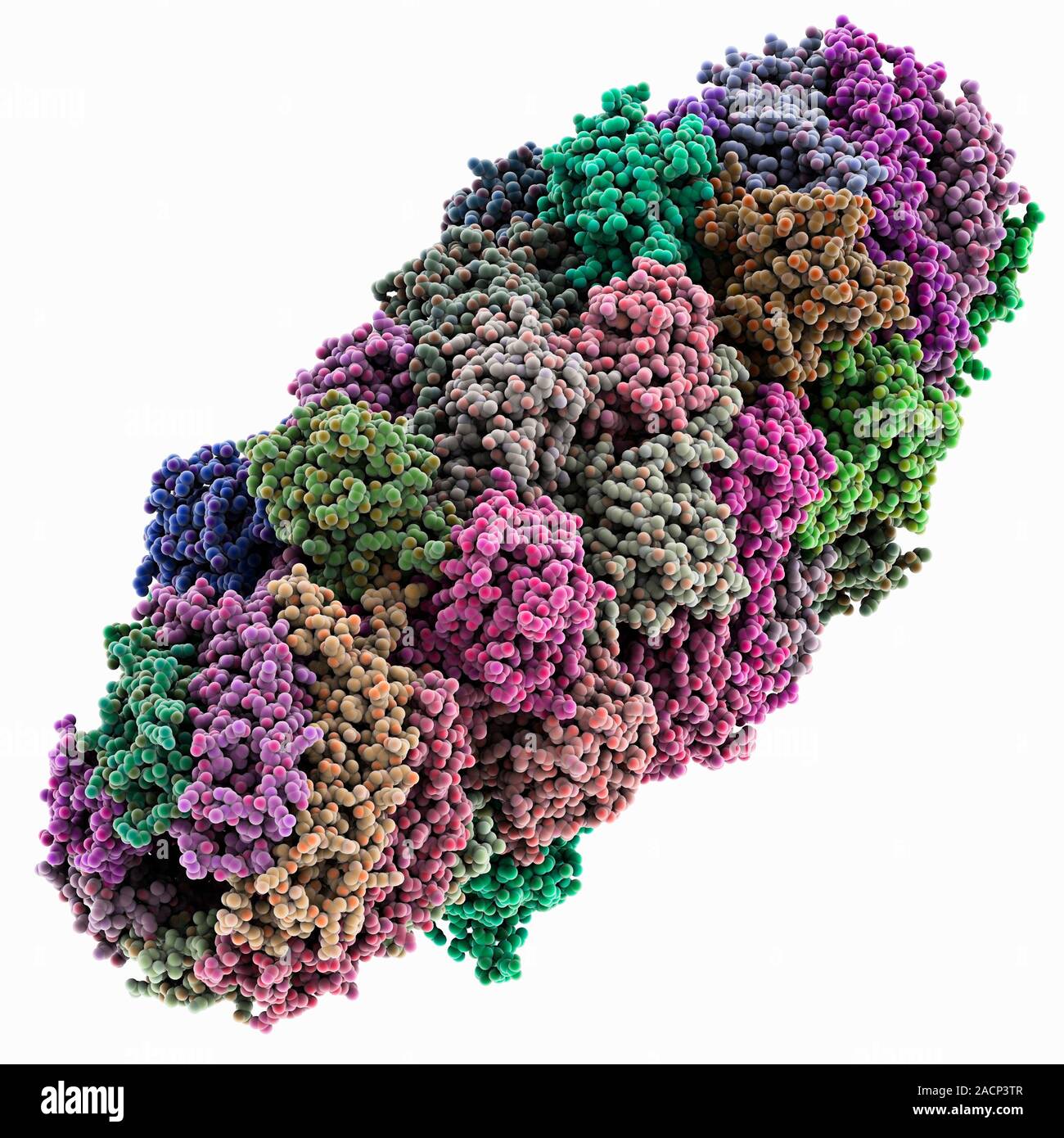 Yeast enzyme. Molecular model of a 20s proteosome enzyme from yeast ...