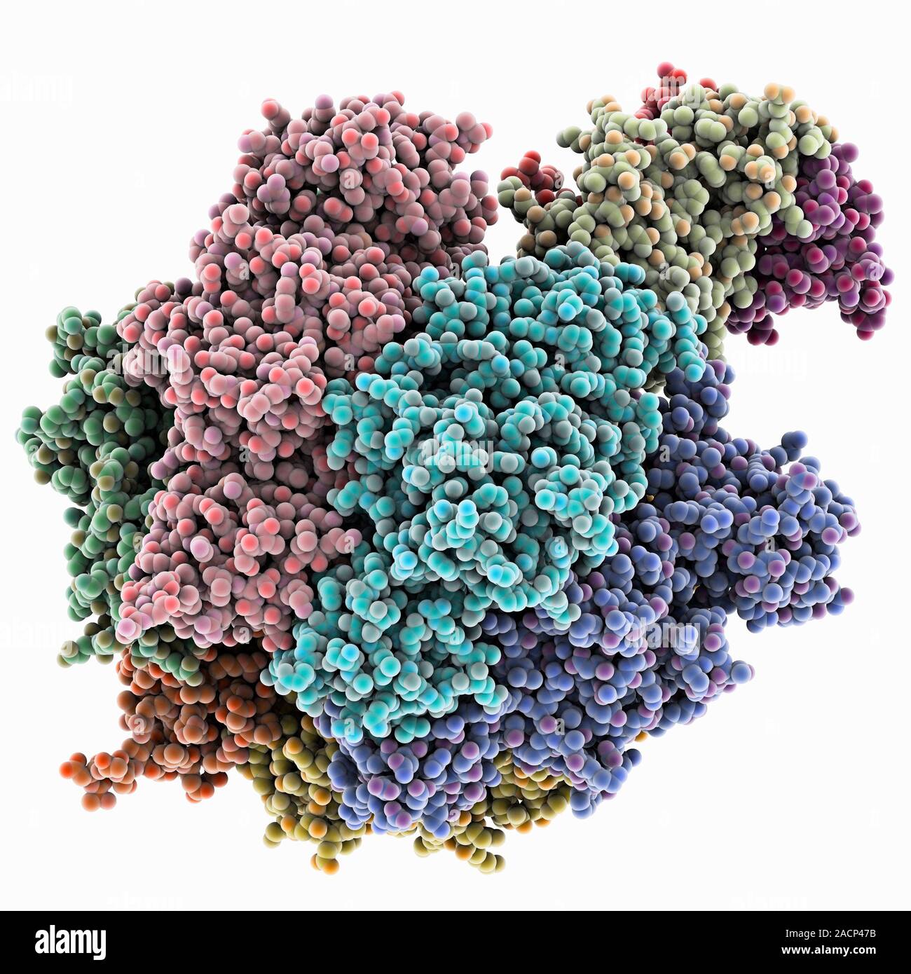 Atpase Molecule Computer Model Showing The Structure Of The Central Stalk Of An Atp Synthase
