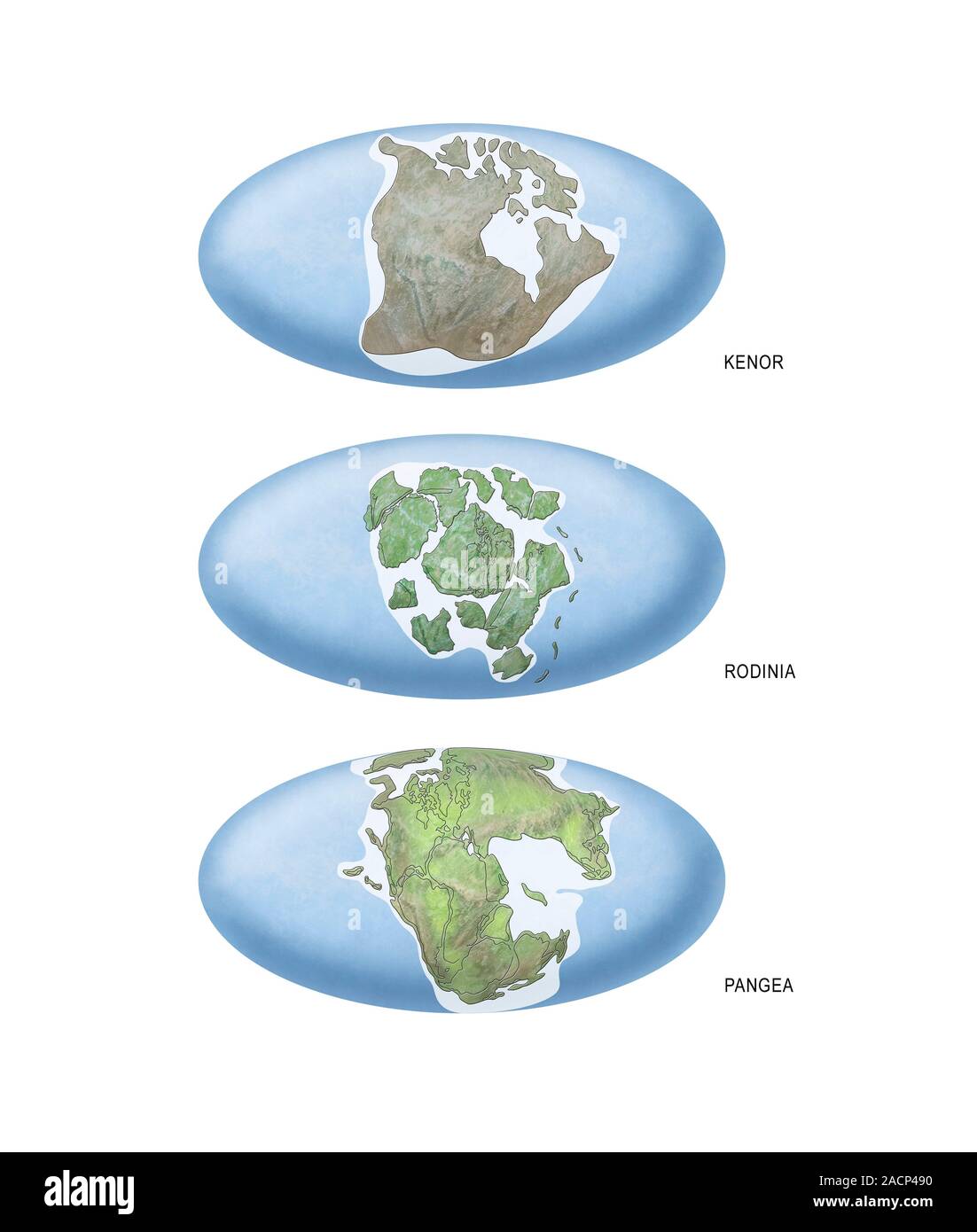 Earth supercontinents. Artwork showing three of the supercontinents ...