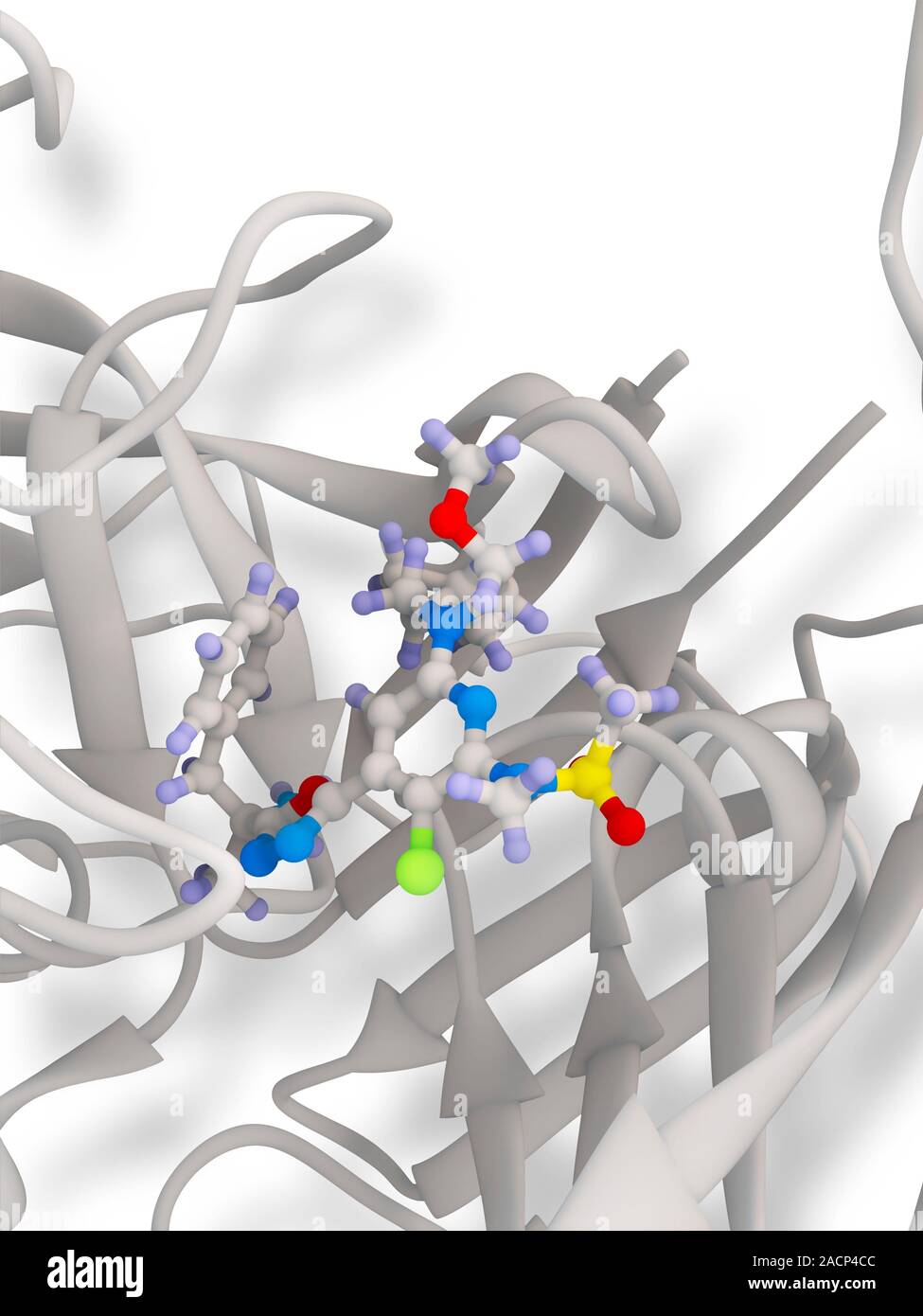 Beta secretase inhibitor, molecular model. The inhibitor molecule ...