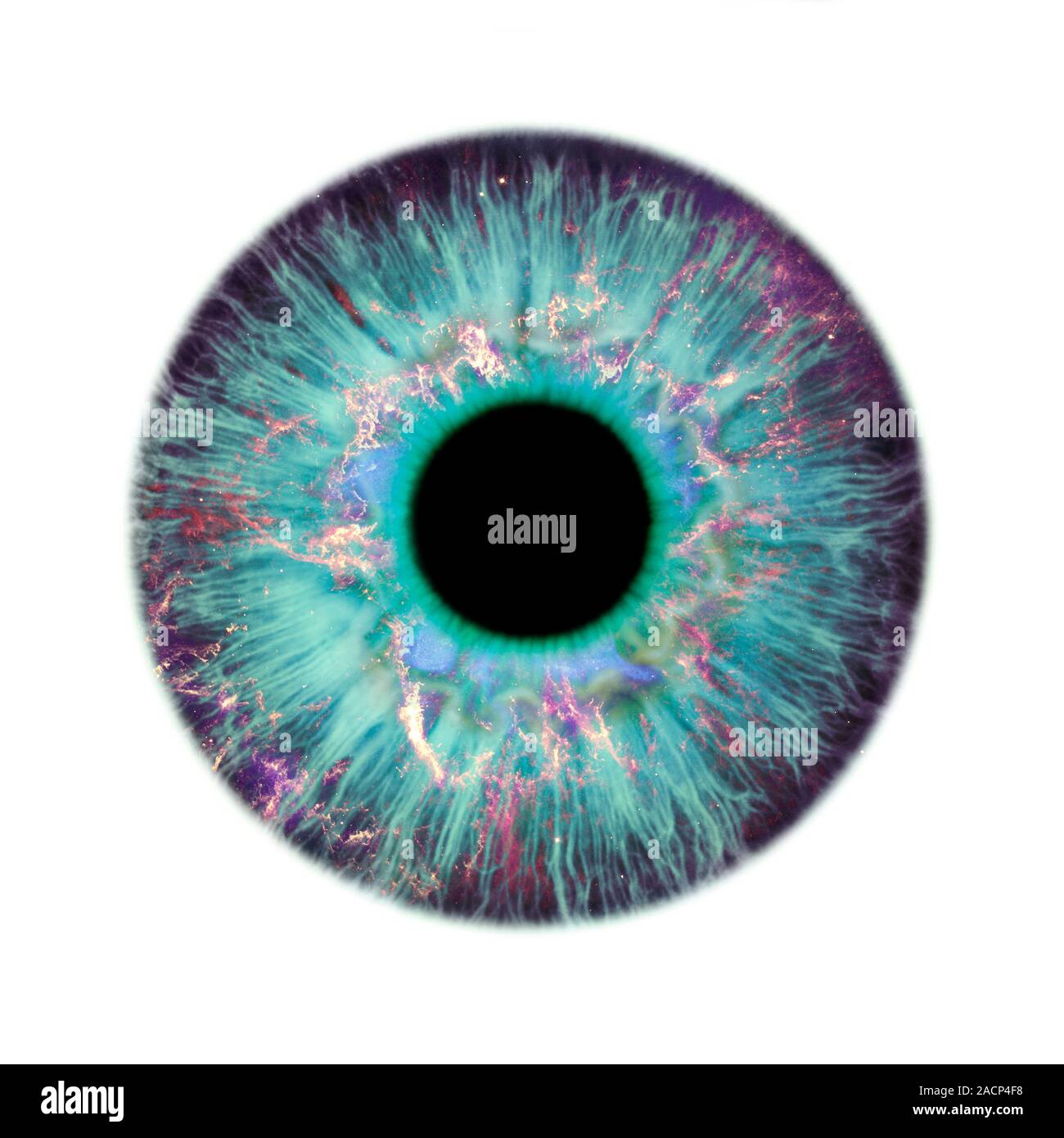 Human eye and nebula. Composite image of a human eye and a nebula, the ...