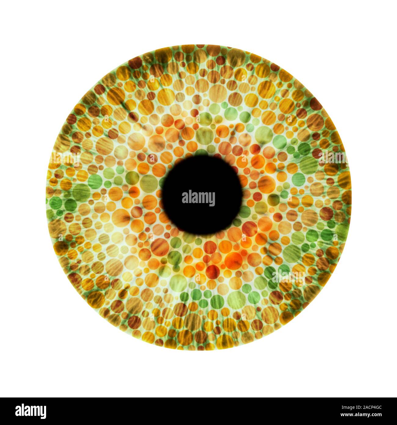 Colour blindness, conceptual image. Composite image of a human eye and ...