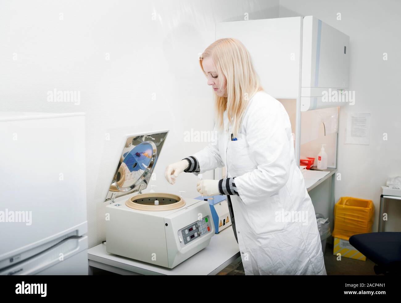 Sperm bank. Laboratory worker placing a sperm sample in a centrifuge ...