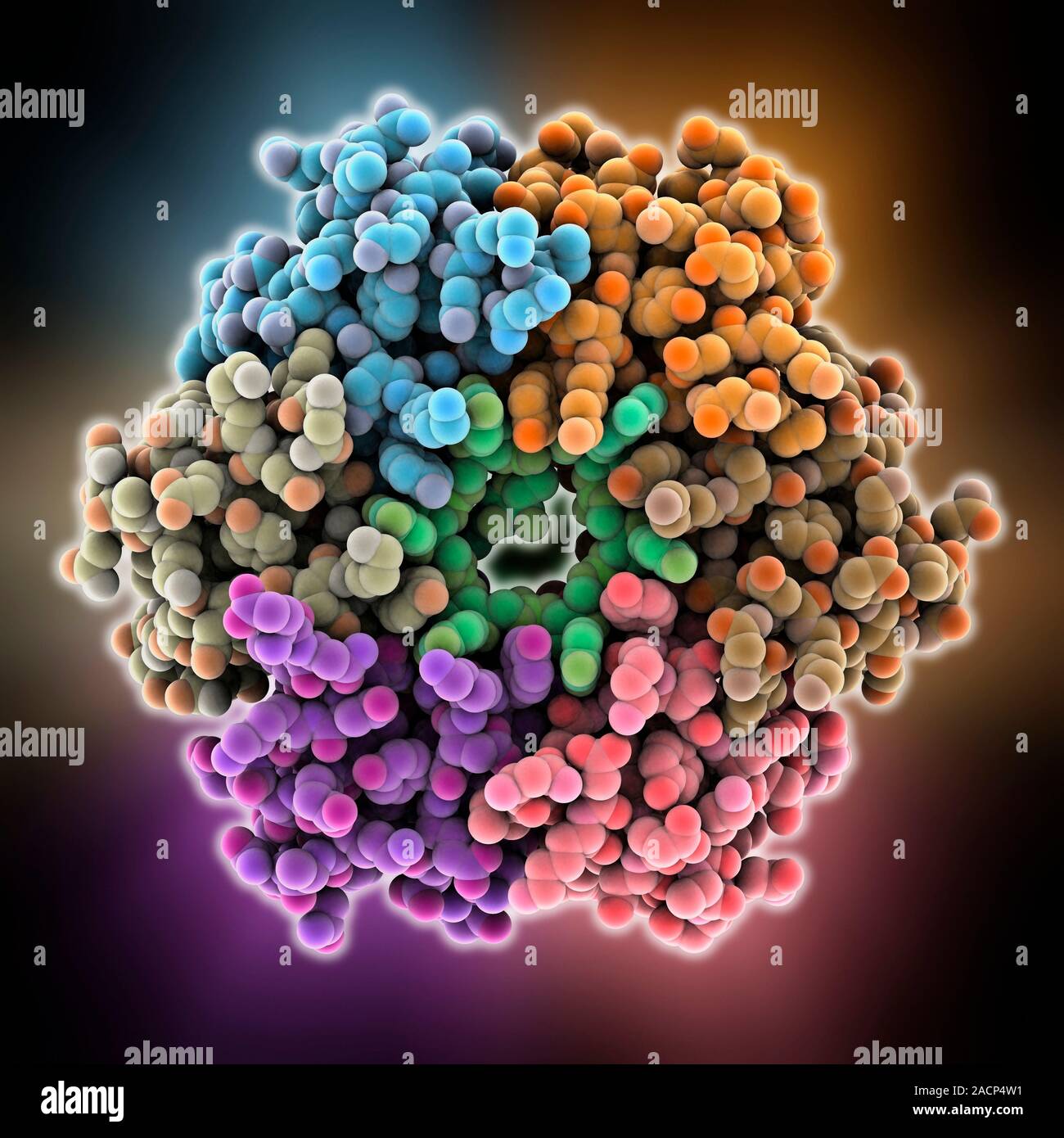 Bacterial RNA-binding protein. Molecular model of the bacterial RNA ...