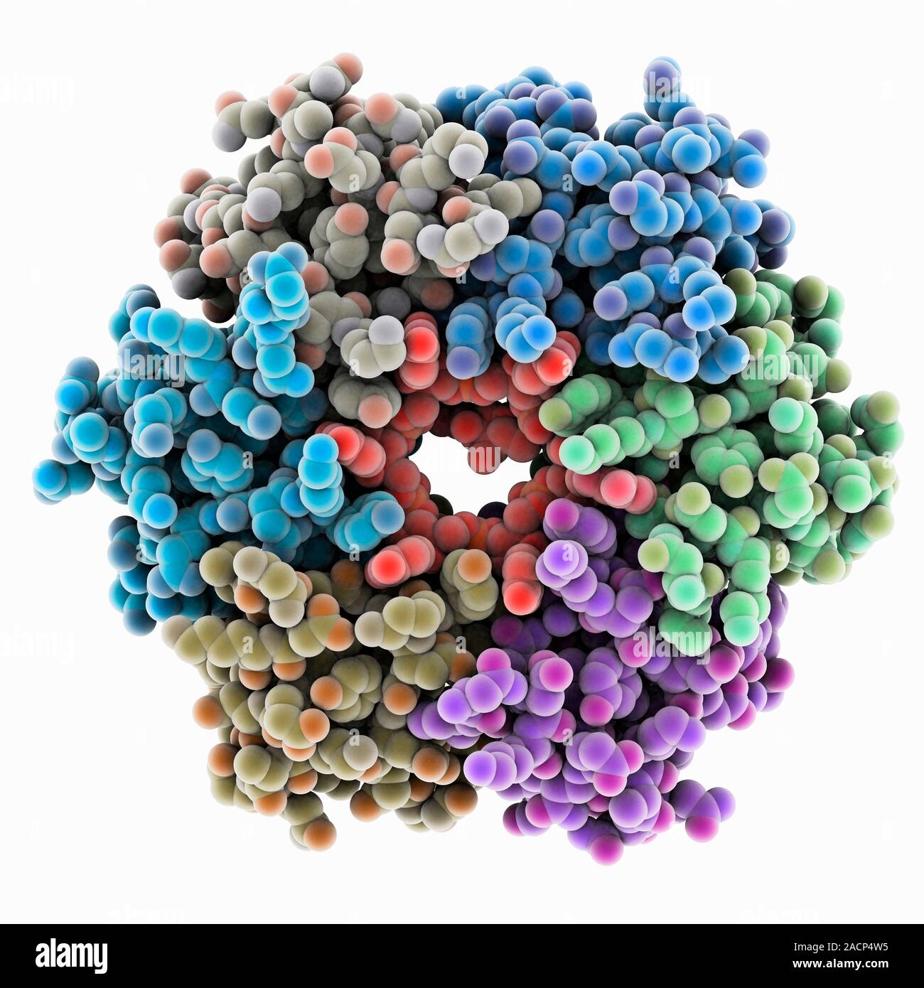 Bacterial RNA-binding protein. Molecular model of the bacterial RNA ...