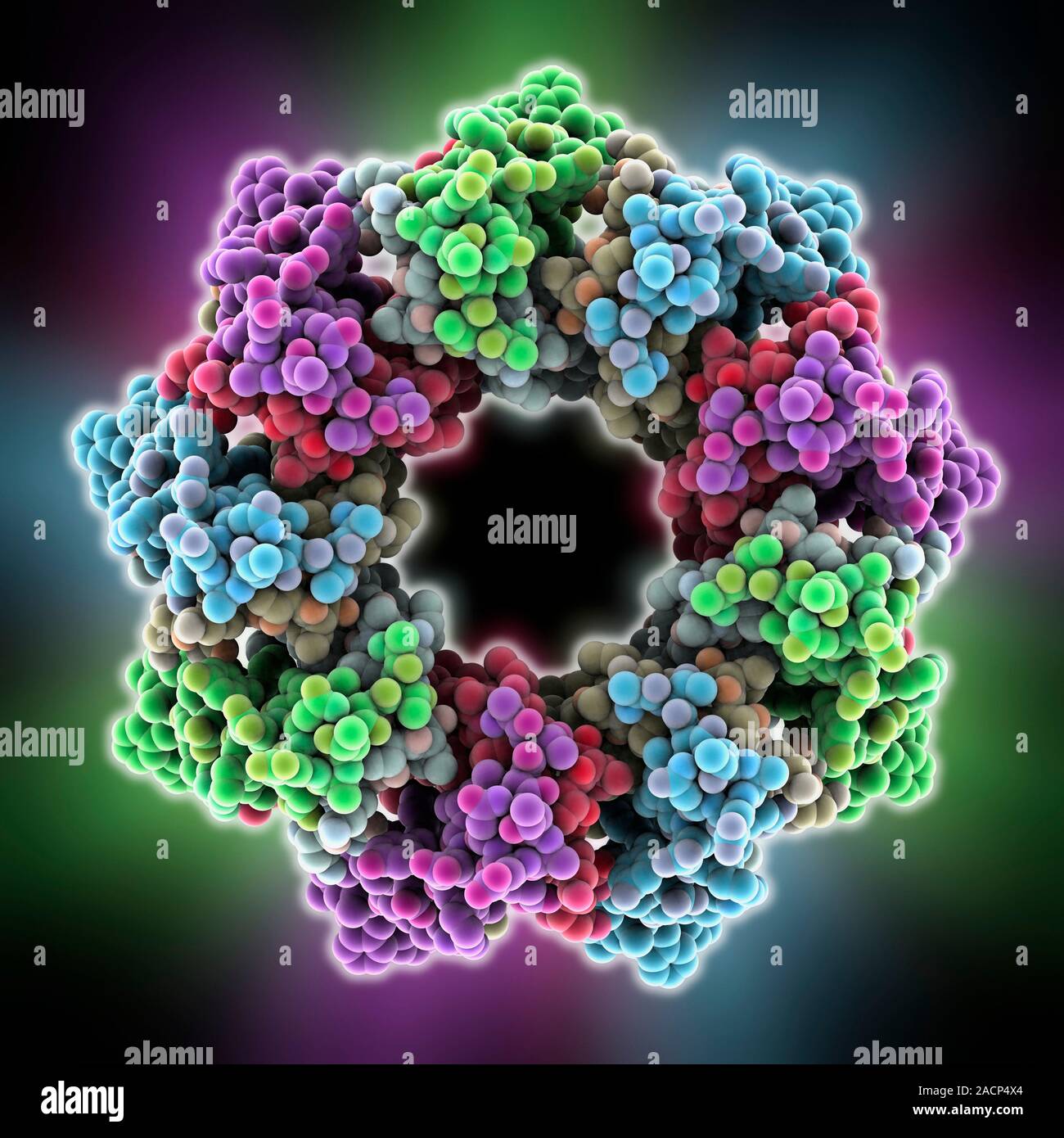 Light-harvesting protein complex, molecular model. Peripheral light ...
