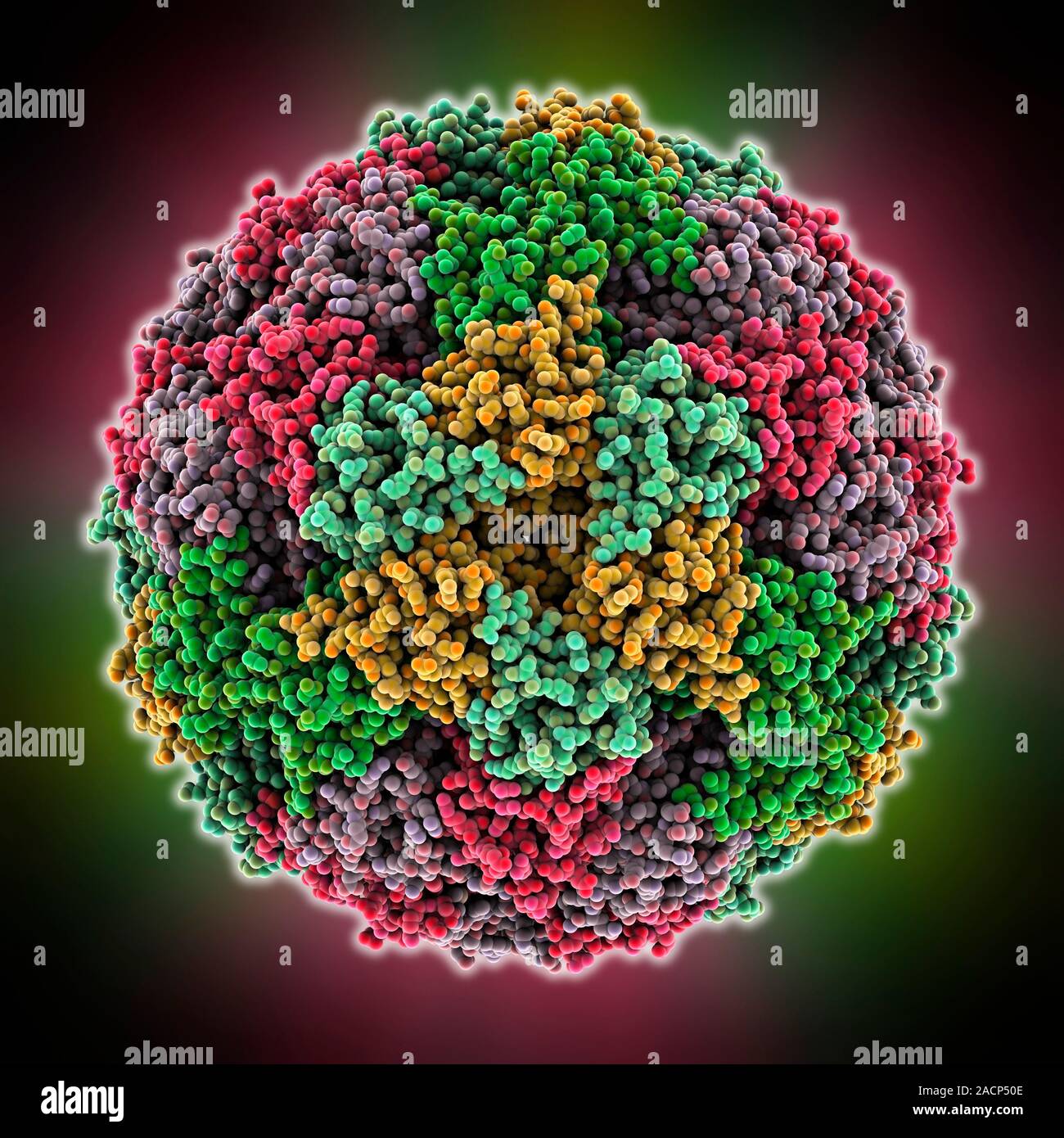 Lumazine synthase molecule. Computer model showing the structure of a ...