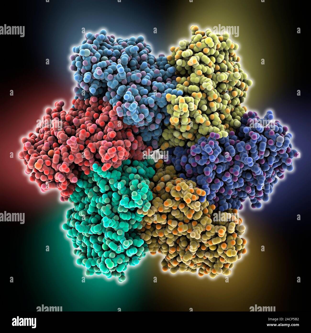 DNA helicase. Molecular model of a helicase molecule from the SV40 ...