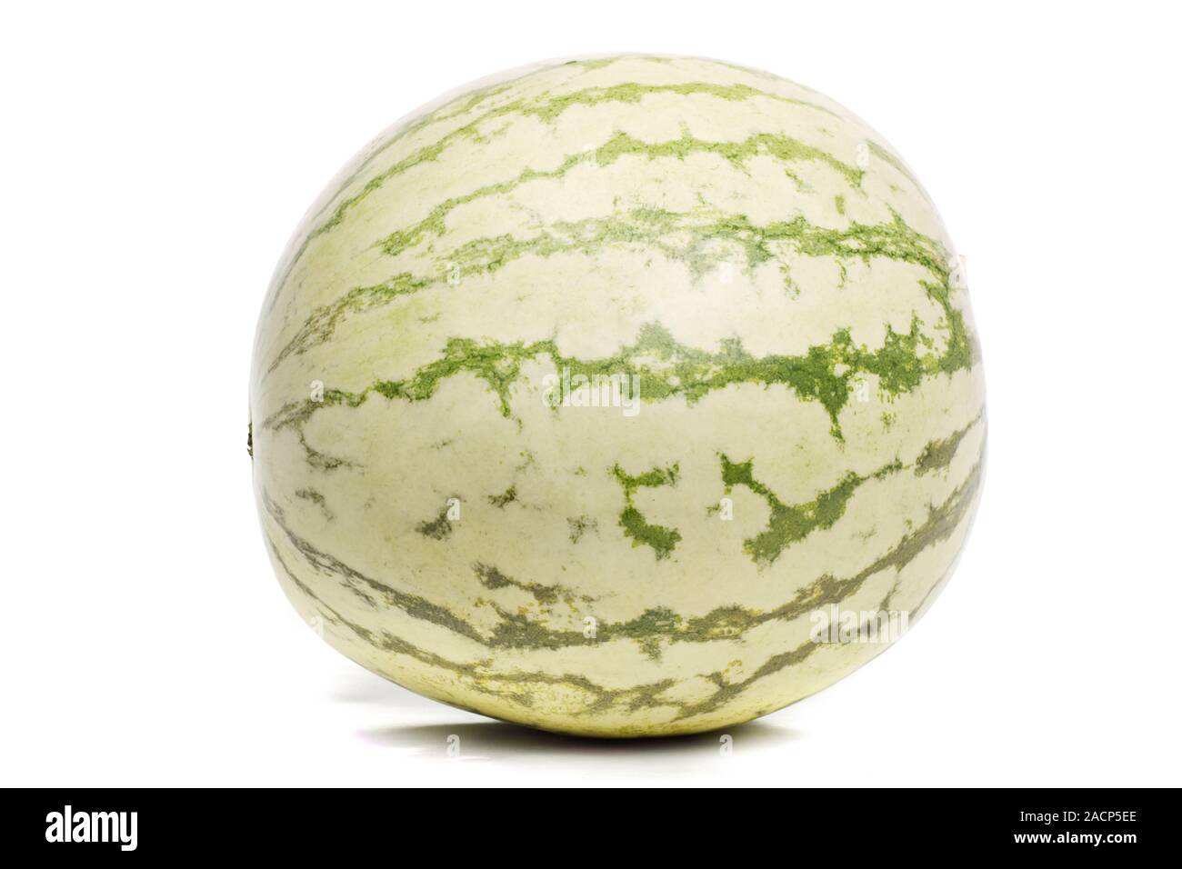 Green watermelon hi-res stock photography and images - Alamy