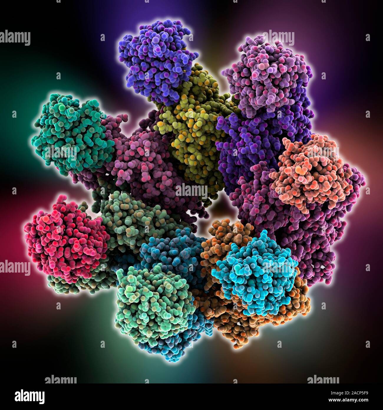 Anthrax toxin prepore. Molecular model of protective antigen (PA) from ...