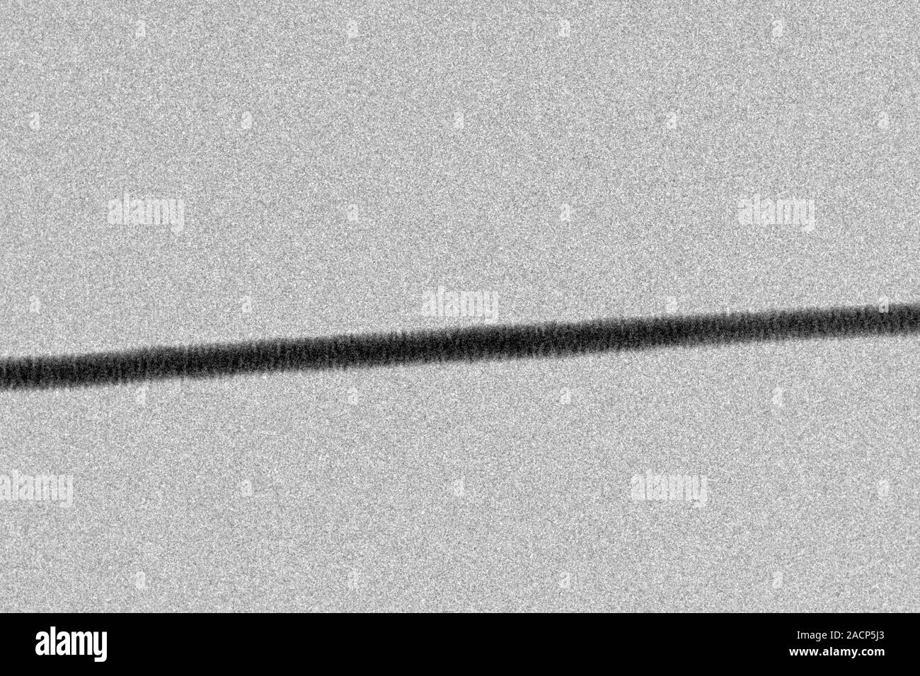 High-contrast direct DNA image. Transmission electron micrograph (TEM ...